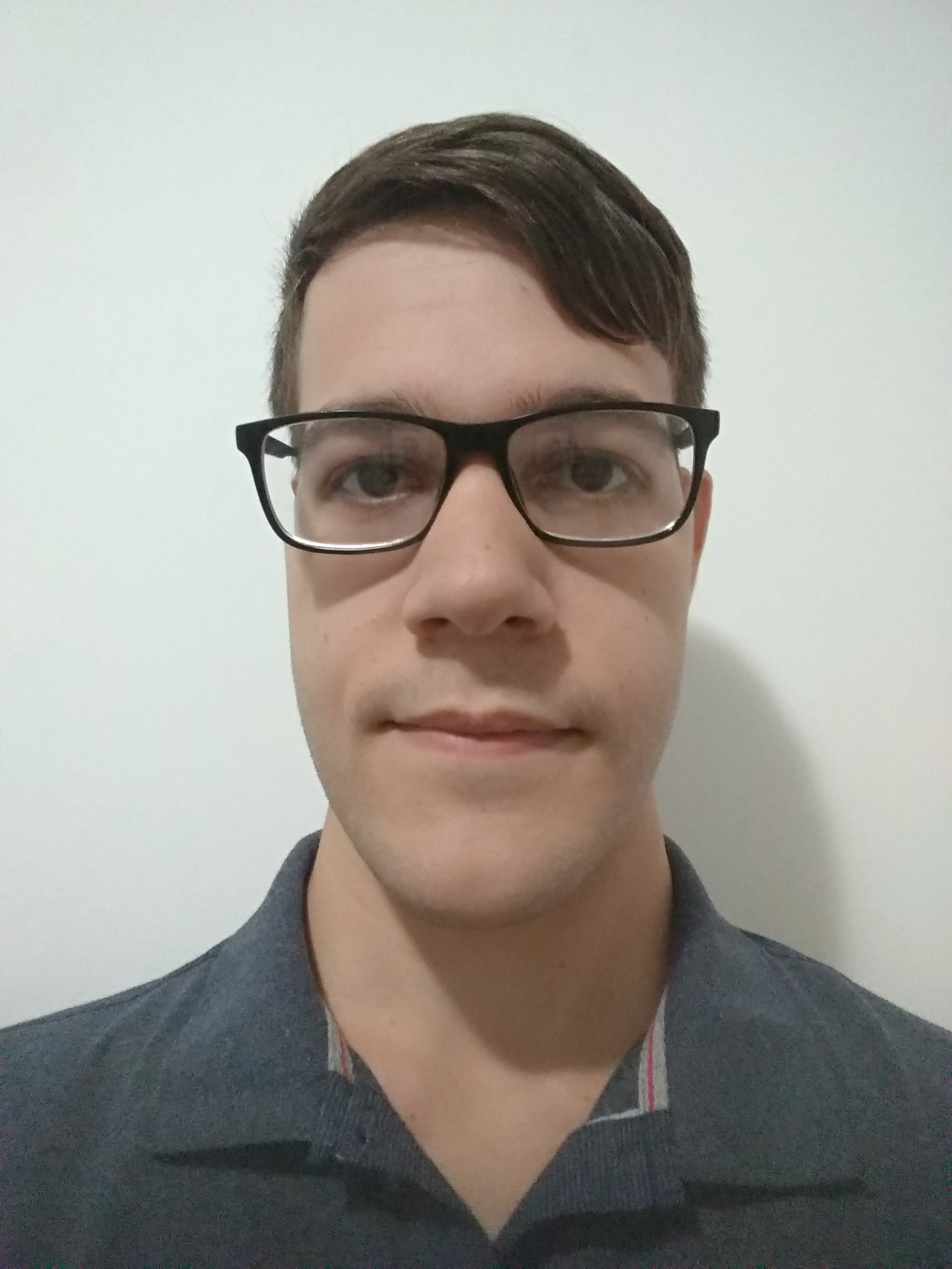 Marcelo Antonio Pavanello Homepage